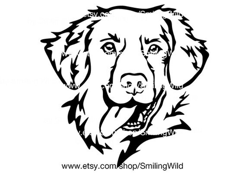 Toller Dog Svg Clipart Portrait Head Nova Scotia Duck Tolling - Etsy Canada