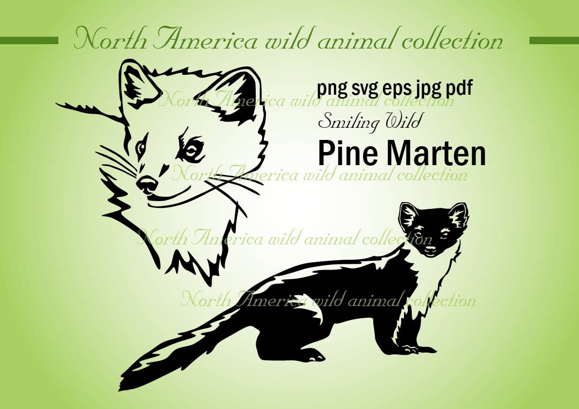 Pine marten art clipart svg cut file Pine marten vector | Etsy