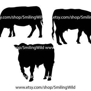 Simmental Cow Svg Silhouette, Bull Vector Art, Simmental Cattle Clipart ...