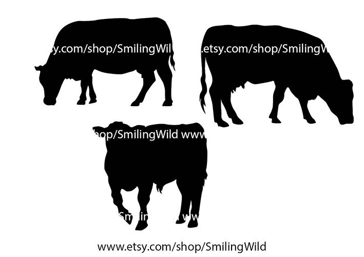 Simmental Cow SVG, PNG Silhouette Bundle: Bull Vector Art (cricut and ...