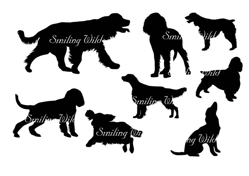 English Springer Spaniel Svg Silhouette Printable Vector - Etsy