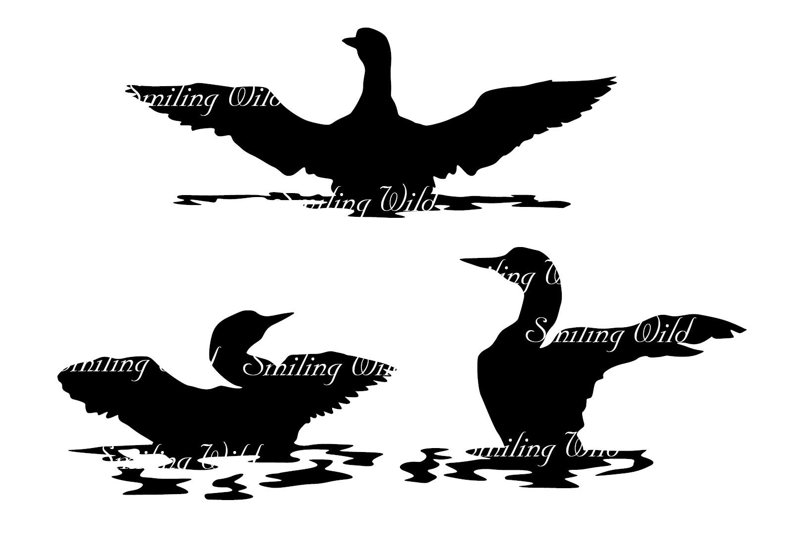 Loon svg silhouette flying bird divers clipart png vector | Etsy