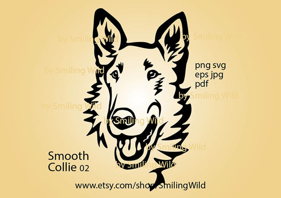 Smooth Collie Svg Dog Vector Graphic Art Portrait Smooth - Etsy
