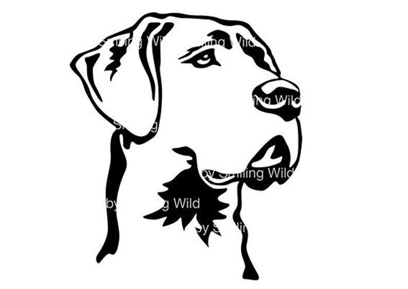 Great Dane Svg Dog Clipart Great Dane Vector Graphic Art - Etsy