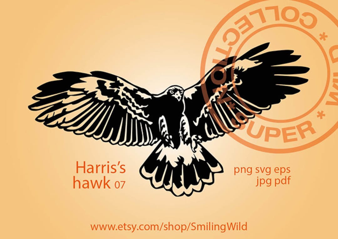 Harris's Hawk Svg Vector Graphic File, Flying Hawk Bird of Prey ...