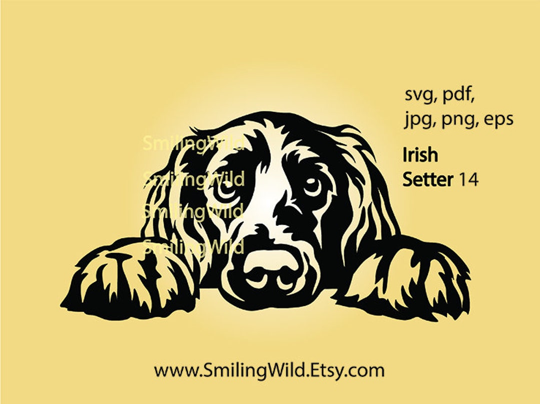 Irish Setter Svg Dog Head Vector Graphic Logo Art Irish Setter Clip Art ...