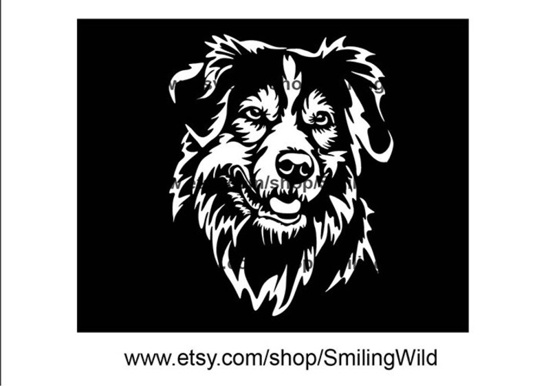 Aussie Svg Vector Face Australian Shepherd Portrait Cut in - Etsy