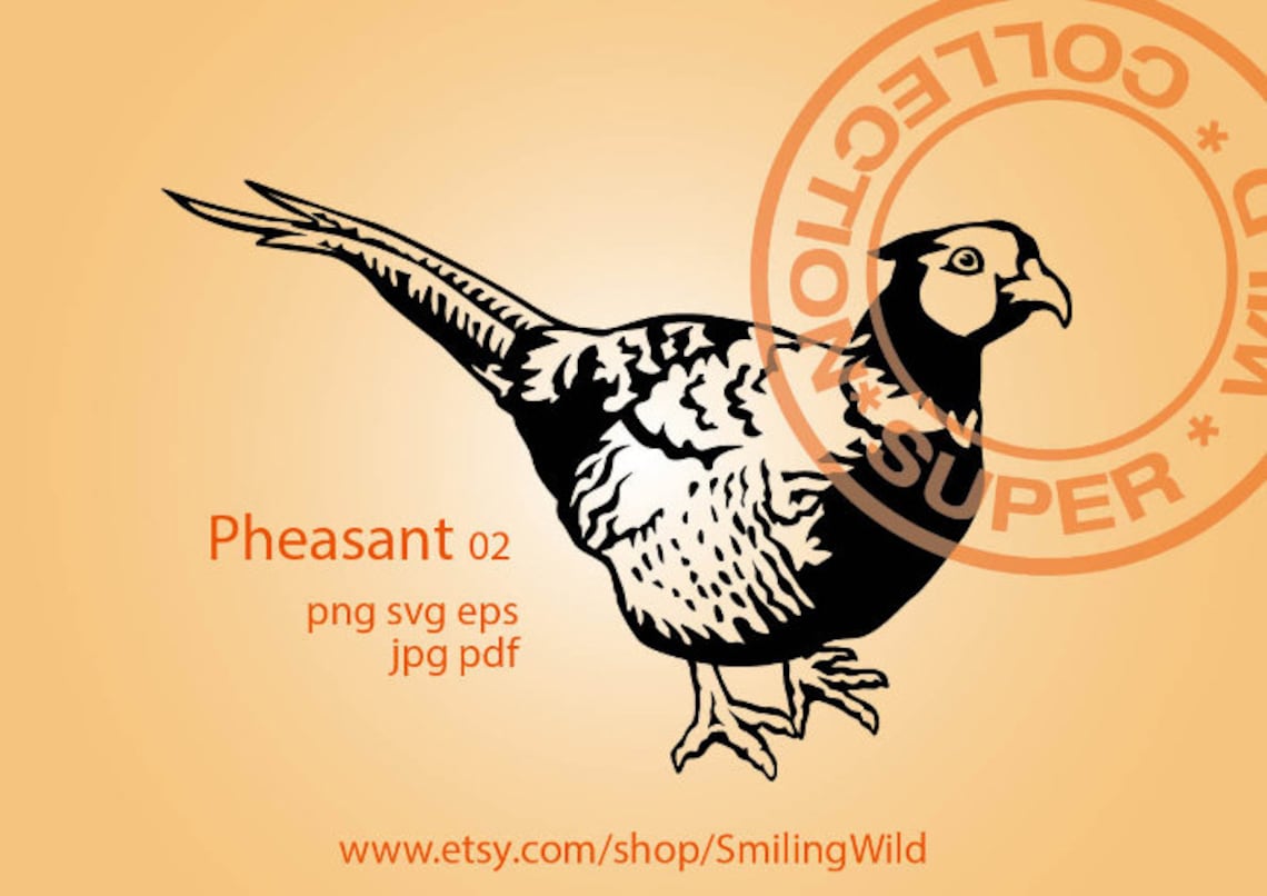Pheasant Svg Clip Art Bird Cuttable Digital Design Pheasant - Etsy