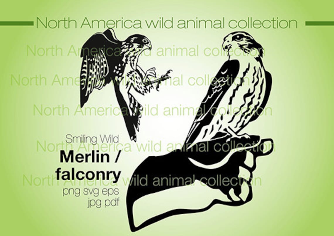 Merlin Svg Clipart Vector Graphic Art Falconry Digital Design - Etsy ...