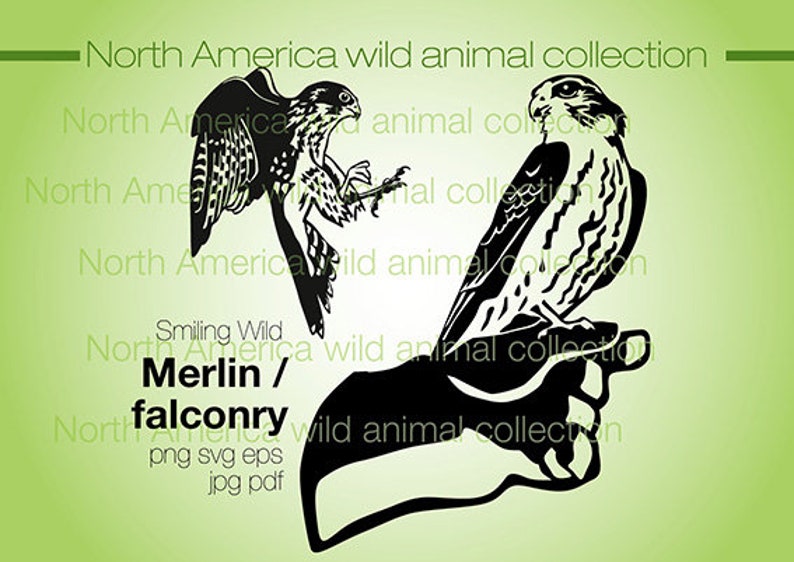 Merlin Svg Clipart Vector Graphic Art Falconry Digital Design - Etsy