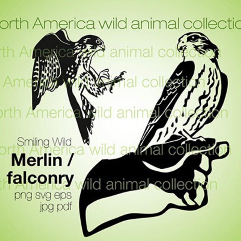 Merlin - Etsy