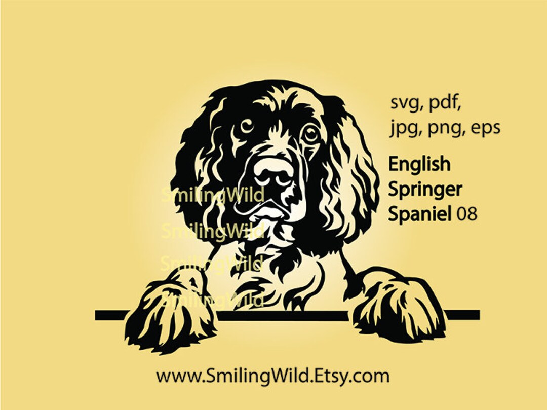 English Springer Spaniel Svg Portrait Vector Graphic Art Dog Show Paw ...