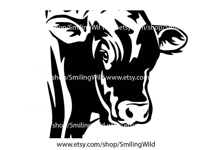 Beefmaster Bull Svg Cattle Clip Art Beefmaster Head Cut File - Etsy UK