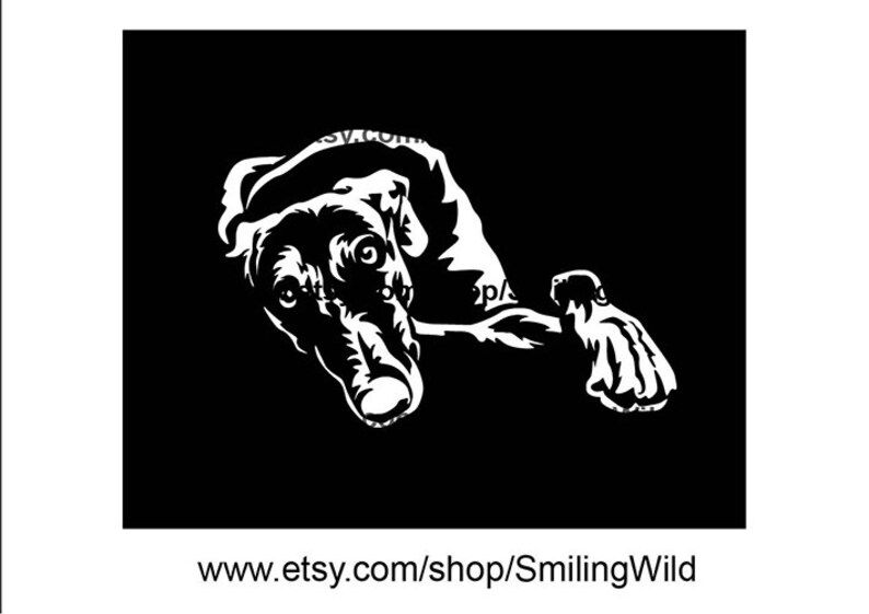 Galgo Svg Portrait White Vector Graphic Cut File Galgo Dog - Etsy