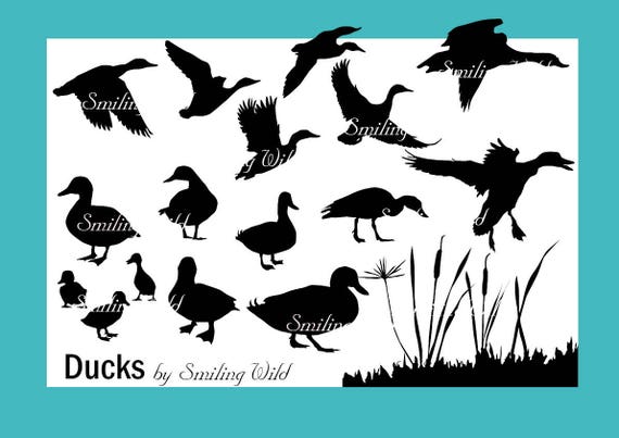 Pato svg silueta clipart patito arte pato familia aves | Etsy España