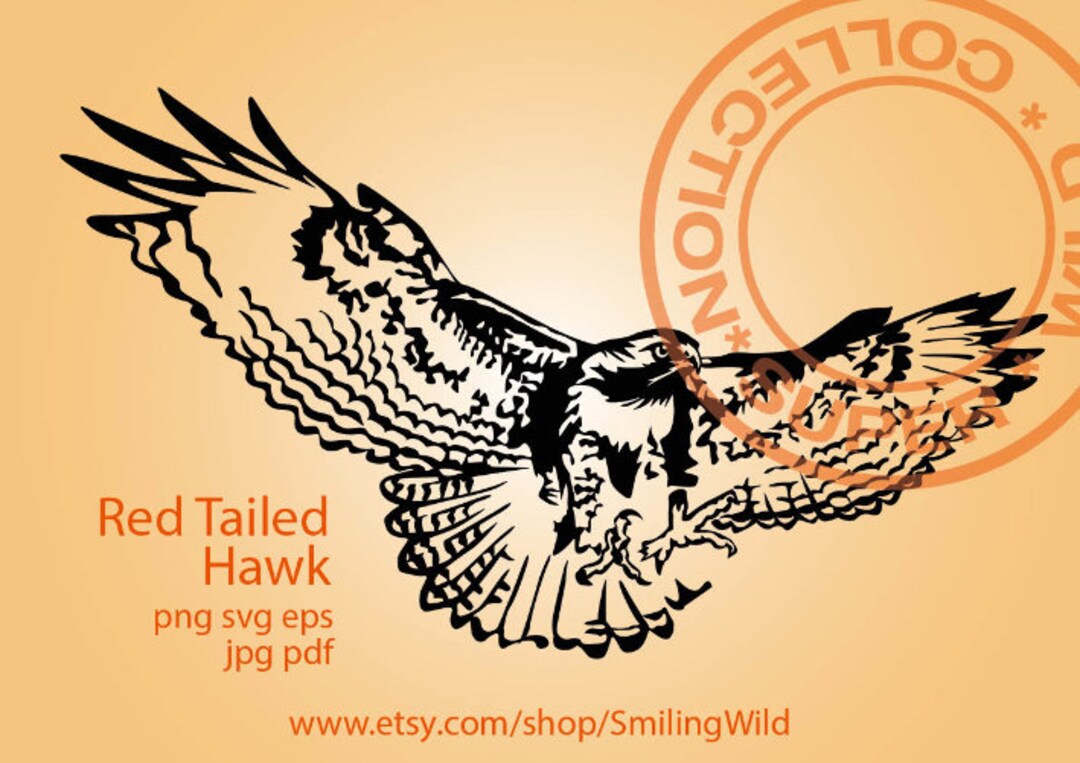 Red Tailed Hawk Svg Flying Bird of Prey Clipart Cut File, Hunting Bird ...