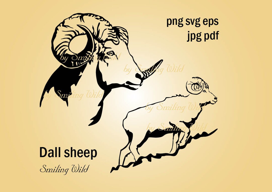 Dall Sheep Svg Clipart Thinhorn Sheep Vector Graphic Art Stone Sheep ...