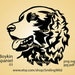 Boykin Spaniel 03 Svg Portrait Clipart Dog Vector Graphic Art Boykin ...