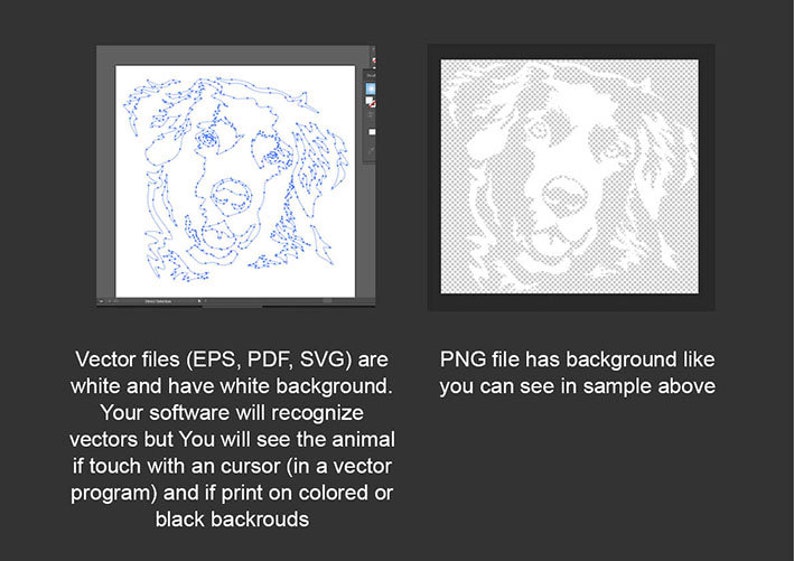 Stabyhoun Dog Breed Svg Clipart White Print on Black Stabyhoun | Etsy