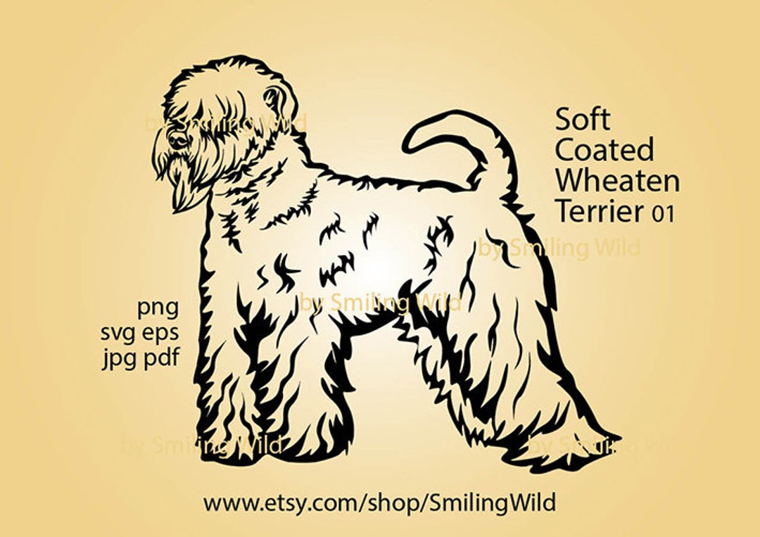 Do Wheaten Terriers Change Color