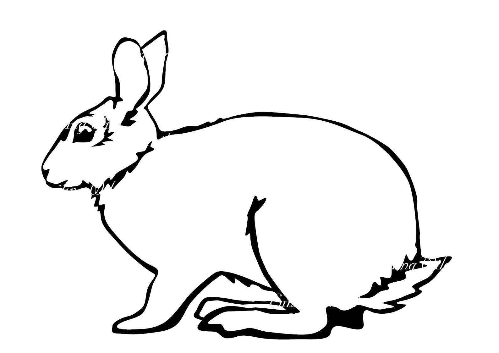 Rabbit Svg Eastern Cottontail Vector Graphic Art Rabbit | Etsy