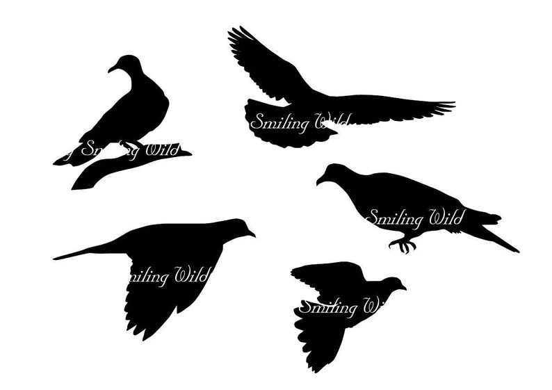 Duif silhouet duif svg vector clipart vogel png duif kunst - Etsy België