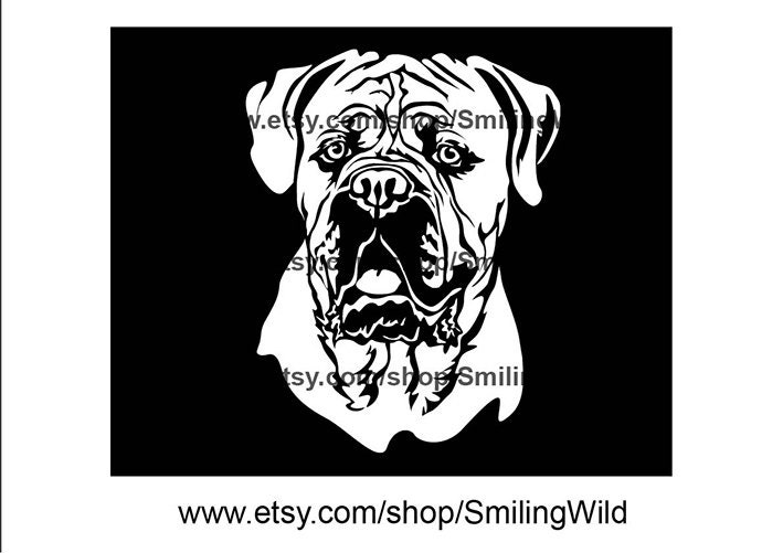 Cane Corso svg White vector file Cane Corso clipart cut file | Etsy