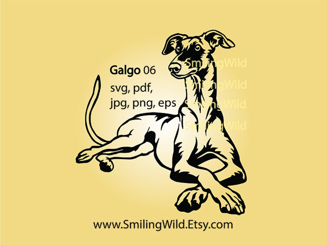 Galgo Dog Svg Cuttable Vector Graphic File, Lying Galgo Digital Clip ...