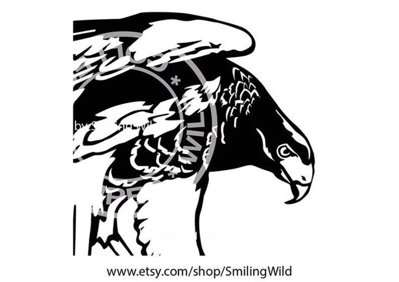 Harris's Hawk Svg Clip Art Birds of Prey Svg Vector - Etsy