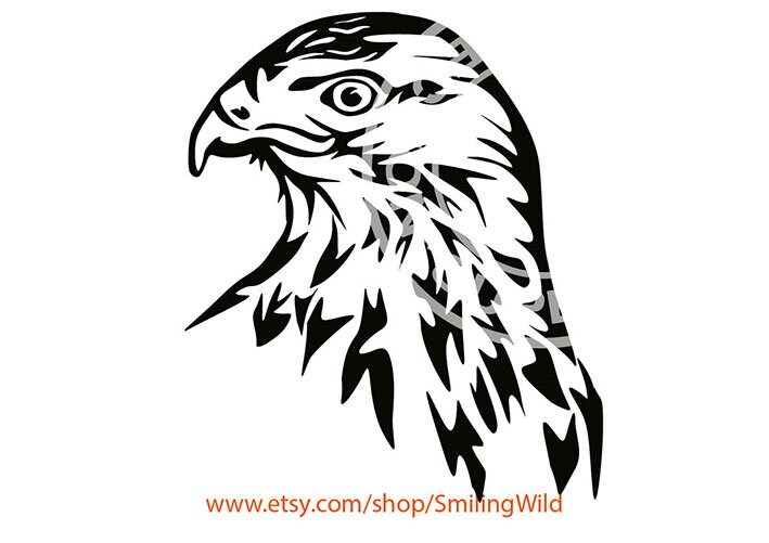 Flying Bird Buzzard Svg Vector Graphic Art Buzzard Birds of - Etsy