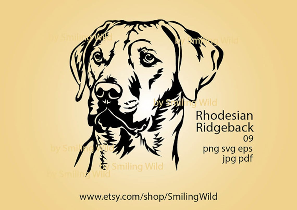 Rhodesian Ridgeback Svg Digital Design Head Cut File Dog - Etsy