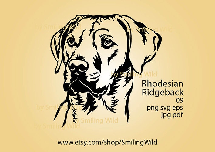 Rhodesian Ridgeback Svg Digital Design Head Cut File Dog - Etsy