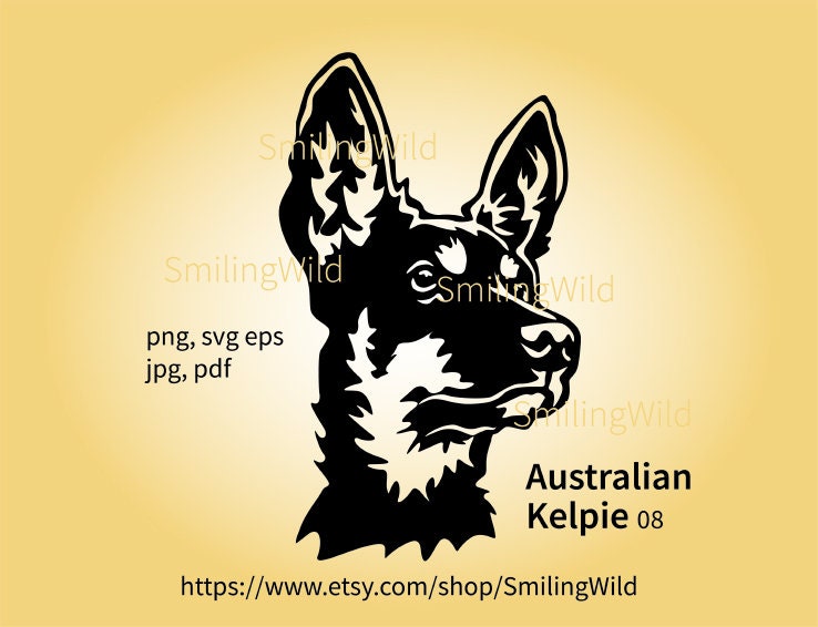 Wild Australian Kelpie