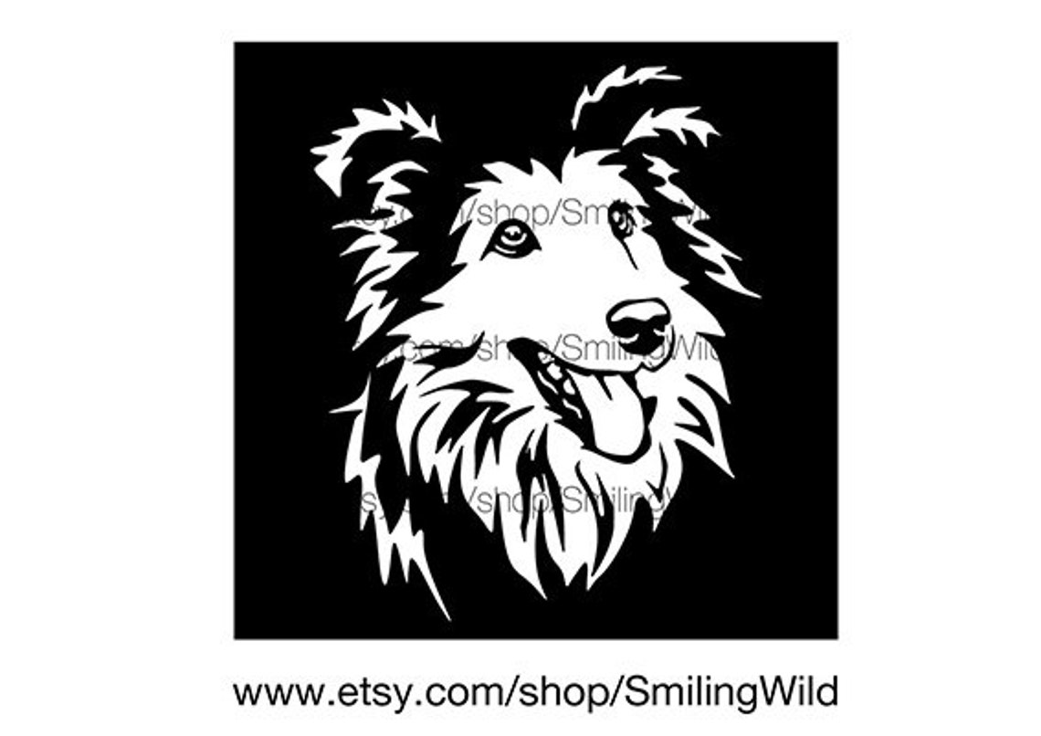 Sheltie Svg Portrait Shetland Sheepdog Print on Black Sheltie - Etsy Canada