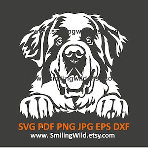 Cute St. Bernard SVG, PNG, DXF Vector Face – Peeking Dog White Canine ...