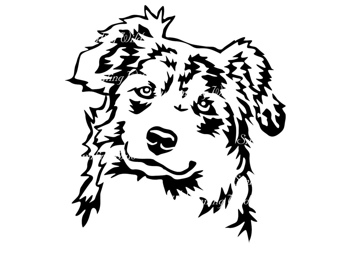 Aussie Svg Dog Clipart Australian Shepherd Vector Graphic Art - Etsy
