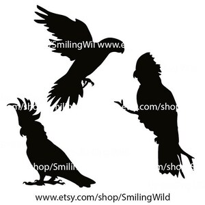 Australian Birds SVG & PNG Bundle: Emu, Cassowary, Bulbul (digital ...