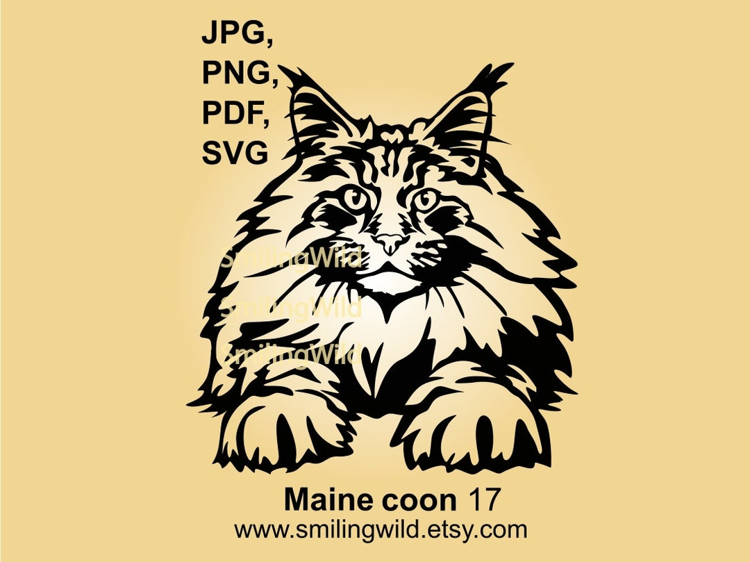 Lying Maine Coon Cat Svg Cut File Clip Art Vector Graphic Art Svg Png ...