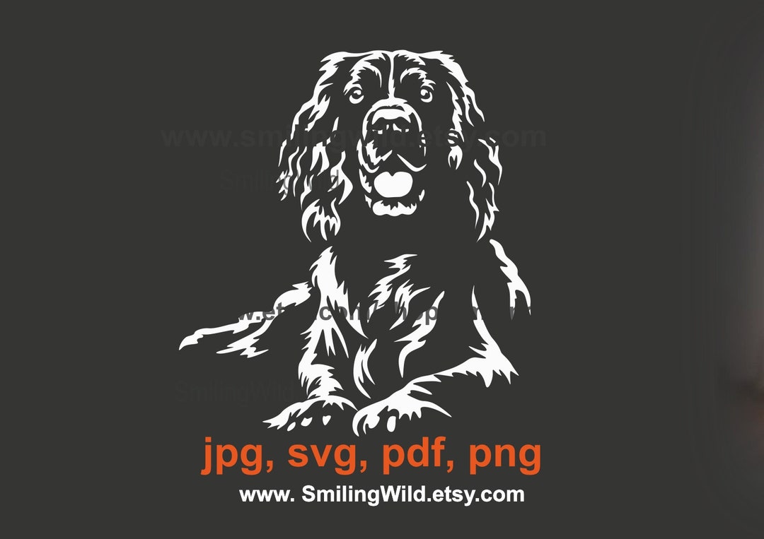 English Springer Spaniel SVG: Wh Clipartite Vector Dog Graphic (digital ...