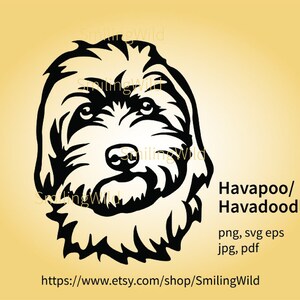 Havapoo Svg Vector Graphic Design, Havadoodle Cuttable Digital Clip Art ...