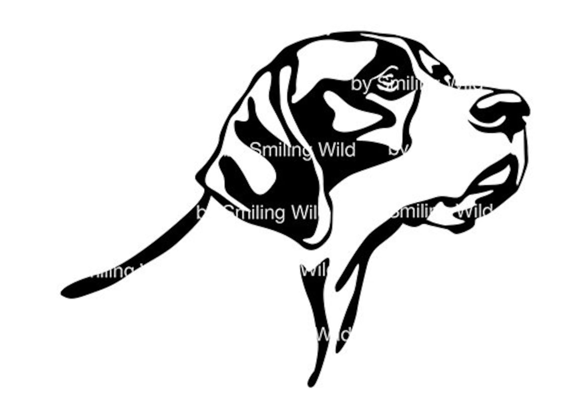 English Pointer Svg Dog Clipart Cut File Vector Graphic Art - Etsy
