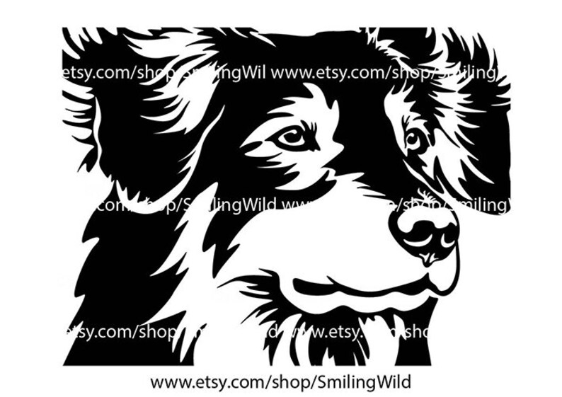 Aussie Head Svg Portrait Australian Shepherd Clipart Cut File - Etsy