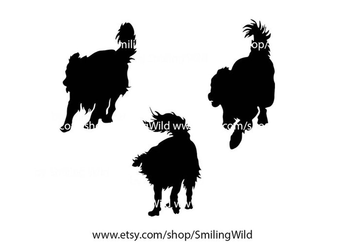 Running Australian Shepherd dog svg silhouette clipart jumping | Etsy