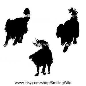 Running Australian Shepherd Dog Svg Silhouette Clipart Jumping Dog ...