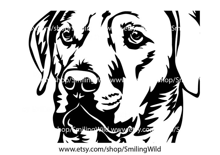 Rhodesian Ridgeback Svg Digital Design Head Cut File Dog - Etsy