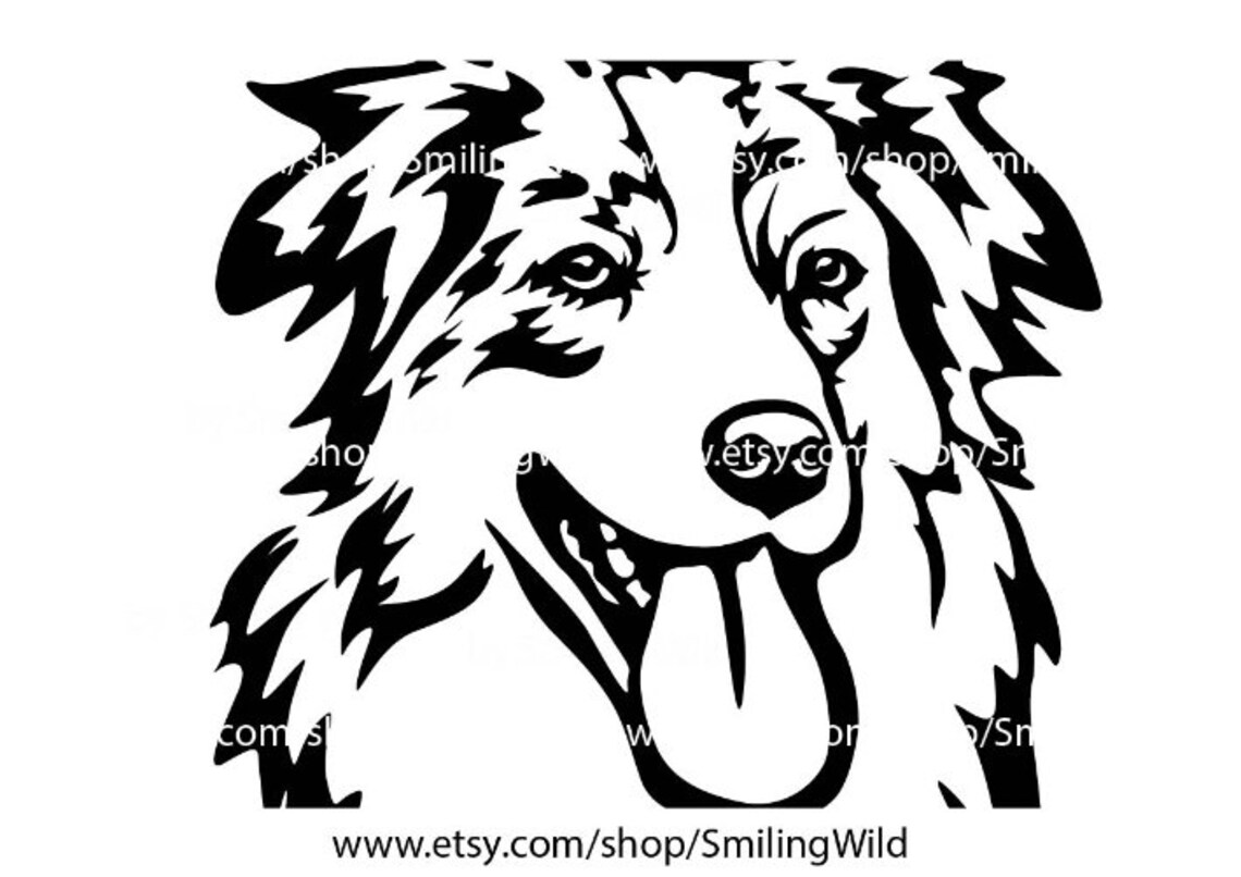 Aussie Dog Png Portrait Australian Shepherd Svg Clip Art - Etsy