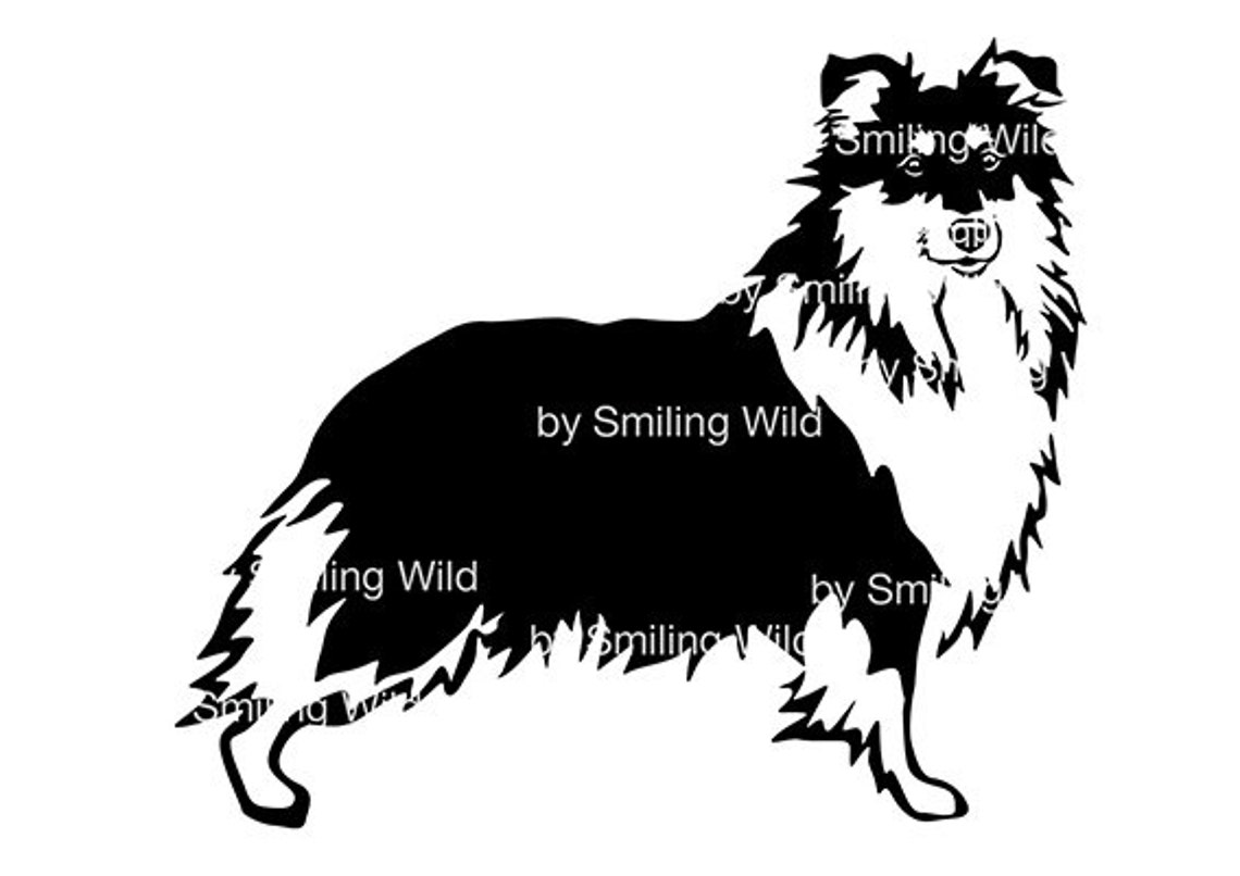 Sheltie Cut File Dog Clipart Sheltie Svg Vector Graphic Art - Etsy
