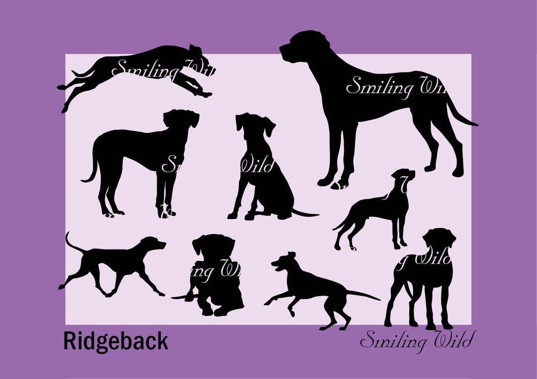 Rhodesian Ridgeback Dog Svg & Png Silhouette Bundle Clipart Printable ...