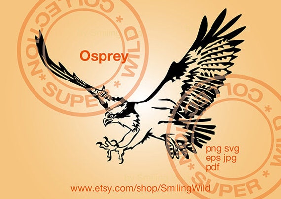 Osprey Svg Clipart Vector Graphic Art Flying Bird of Prey Cut | Etsy ...