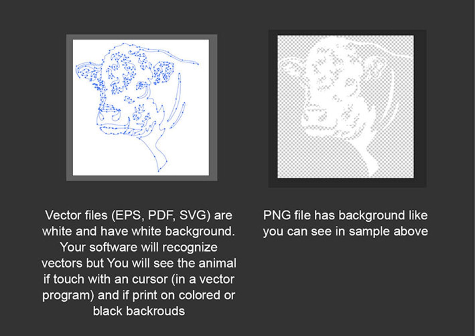 Hereford Beef Cattle Svg Vector Graphic File, Hereford Bull Cuttable ...